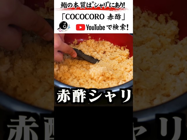 自宅で作れる高級江戸前鮨の赤酢シャリ。 #赤酢 #しゃり #寿司 | CookDo - 料理動画まとめ